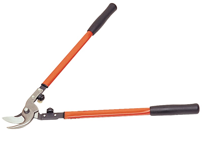 Ébrancheur P16-60-F