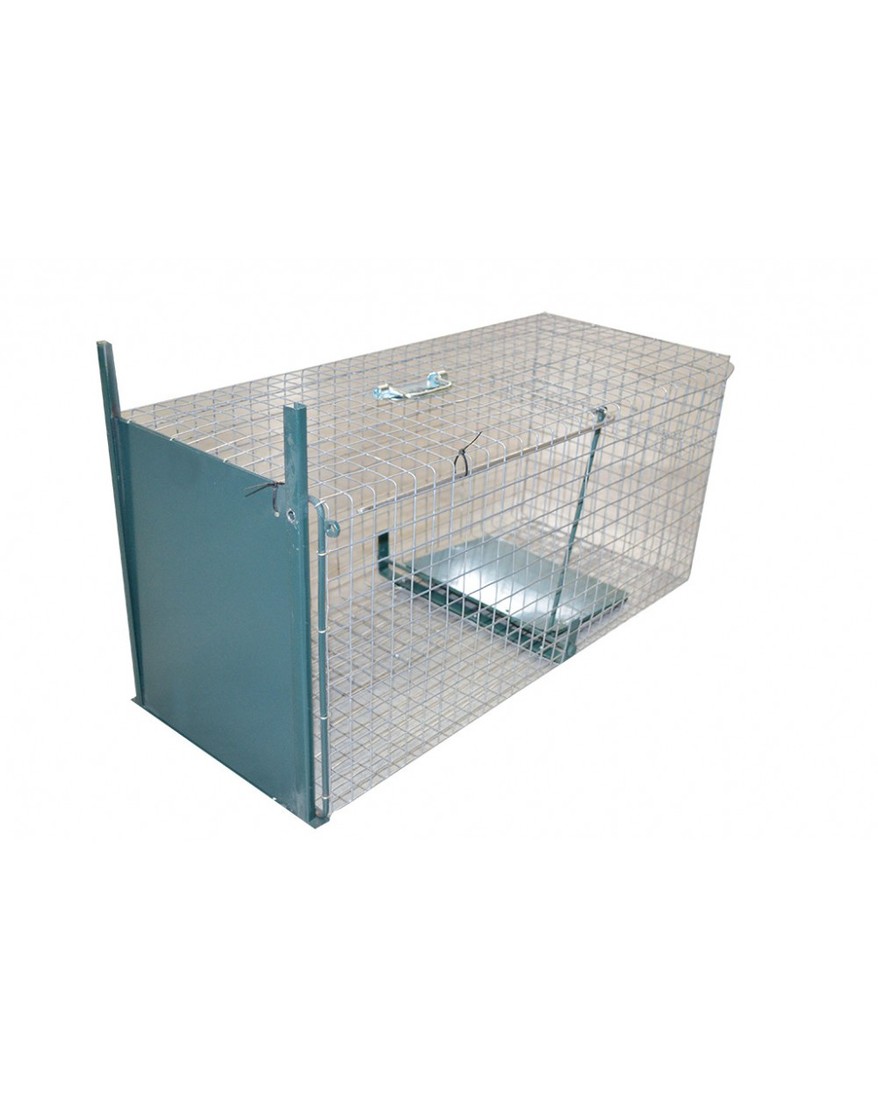Cage de capture